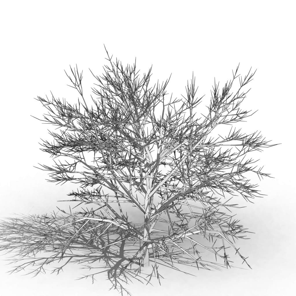 arquishrubpack01_4 scalable shrubs - arquitree Revit families