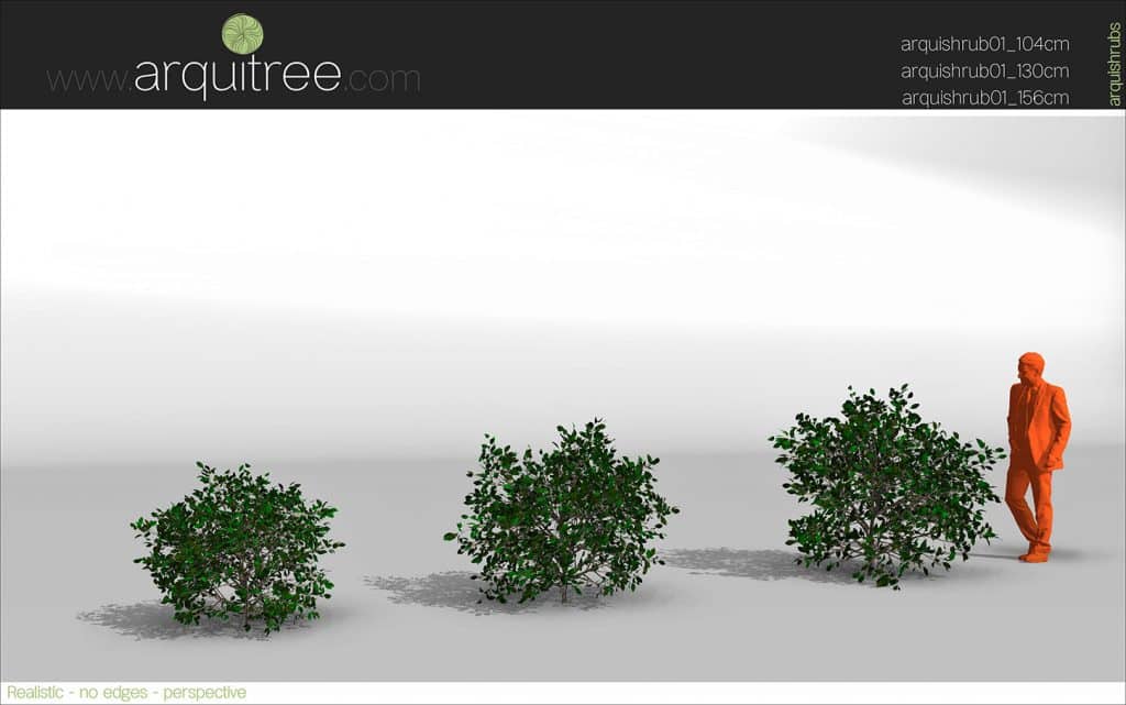 scalable arquishrub01 Broadleaf - arquitree Revit families