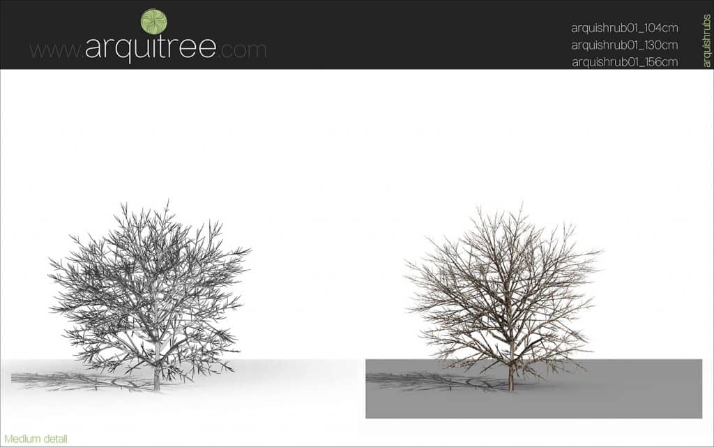 scalable arquishrub01 Broadleaf - arquitree Revit families
