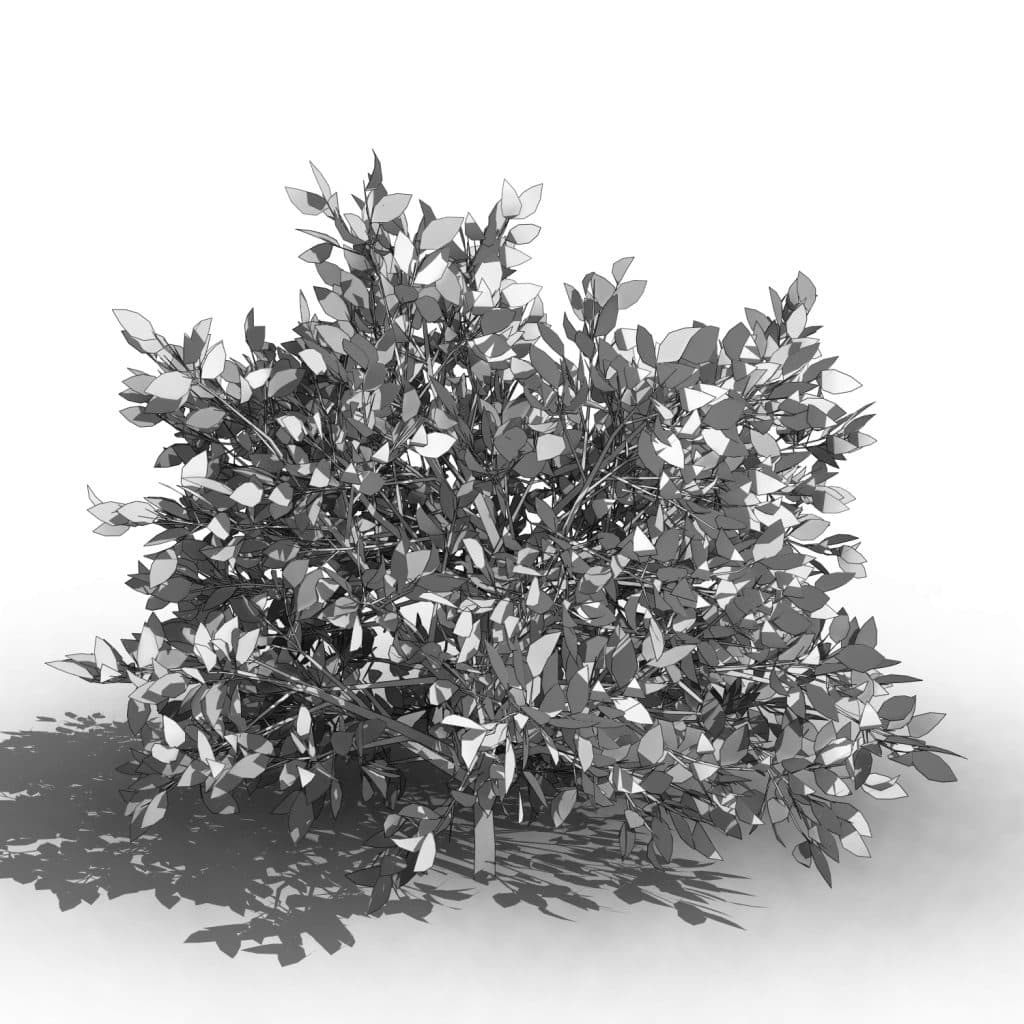 scalable arquishrub02 Broadleaf - arquitree Revit families