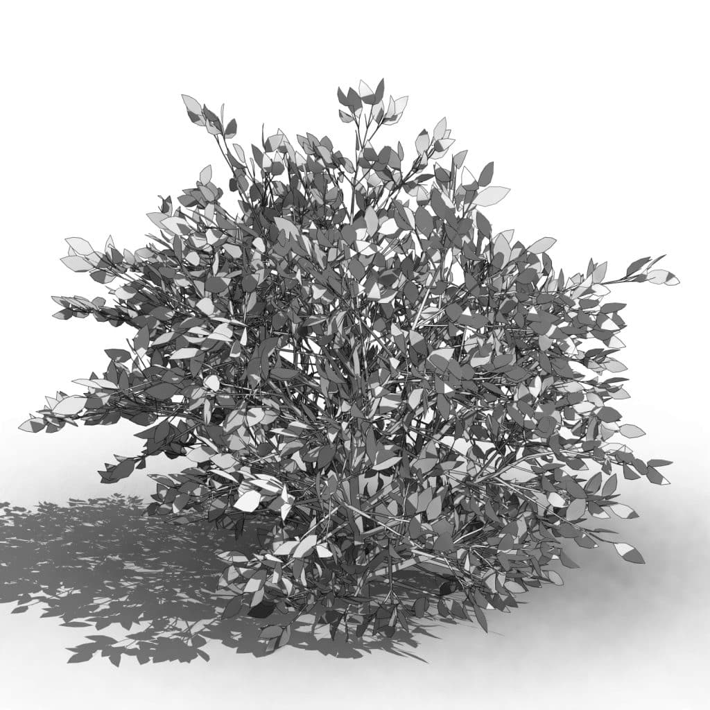 arquishrubpack01_4 scalable shrubs - arquitree Revit families