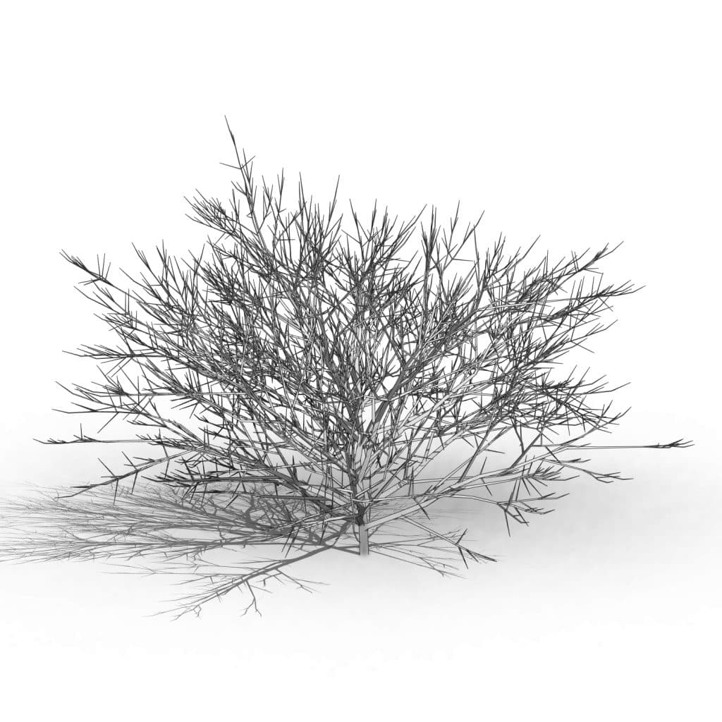 arquishrubpack02_3 scalable shrubs - arquitree Revit families