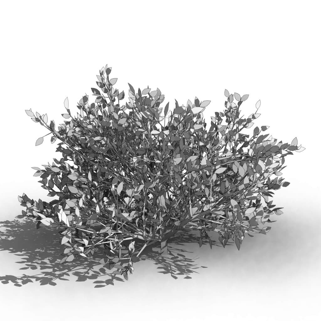 arquishrubpack02_3 scalable shrubs - arquitree Revit families