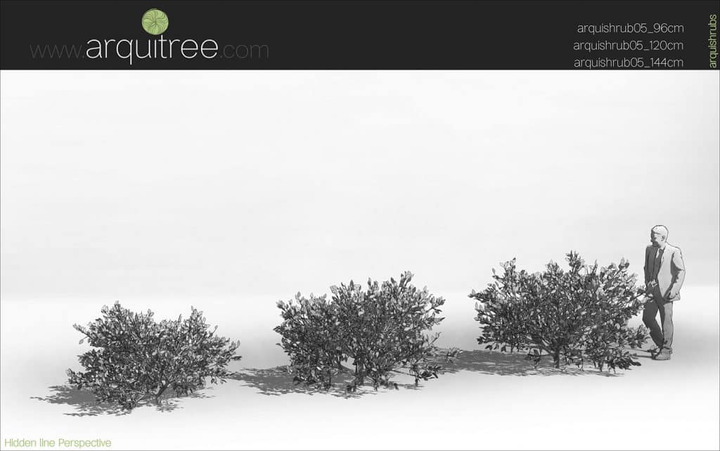 scalable arquishrub05 Broadleaf - arquitree Revit families