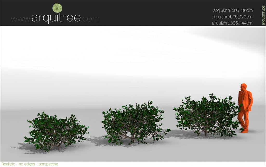scalable arquishrub05 Broadleaf - arquitree Revit families