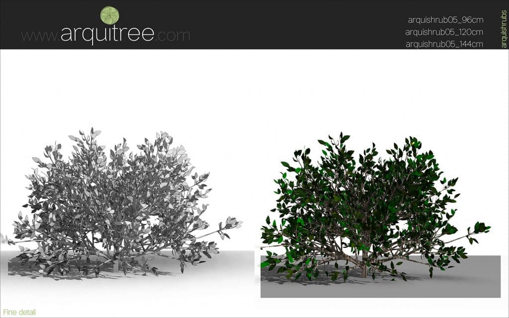 scalable arquishrub05 Broadleaf - arquitree Revit families