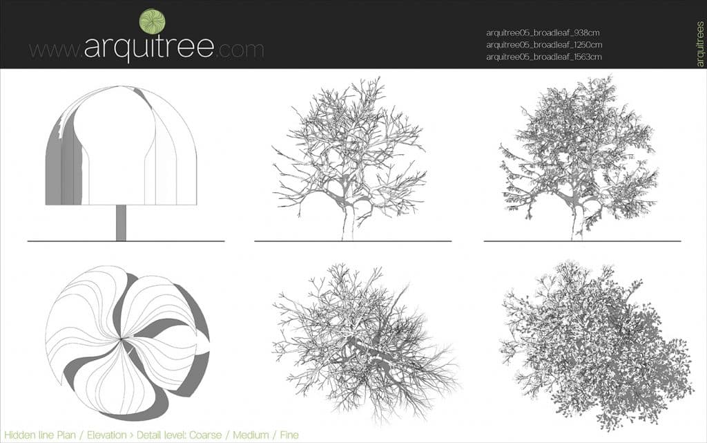 scalable arquitree05 Broadleaf - arquitree Revit families