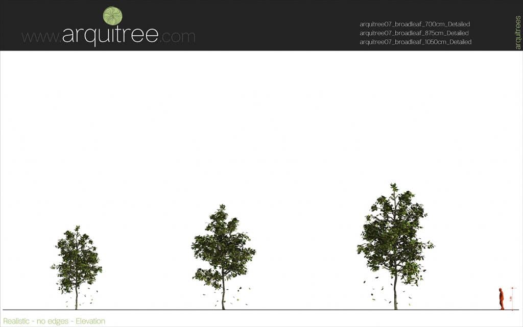 scalable arquitree07 Detailed Broadleaf - arquitree Revit families