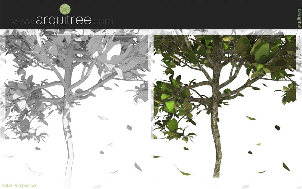 scalable arquitree07 Detailed Broadleaf - arquitree Revit families