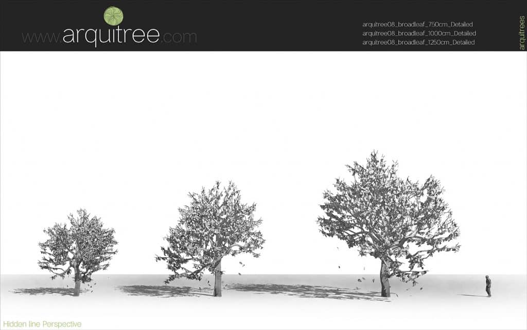 scalable arquitree08 Detailed Broadleaf - arquitree Revit families