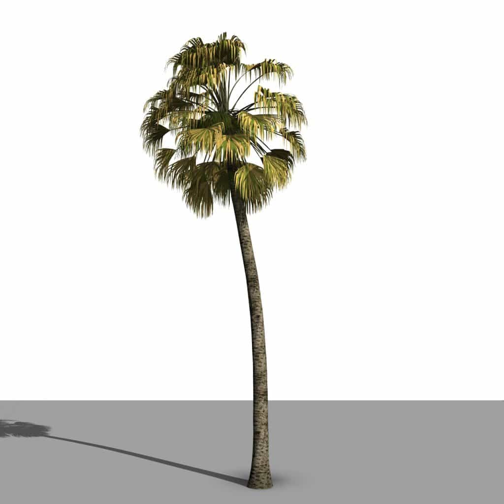 arquitreepack01 - 9 tree families for Revit detailed & scalable ...