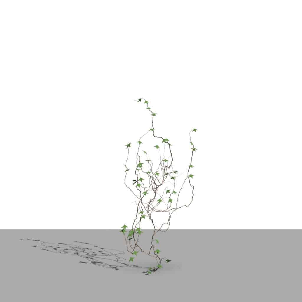 arquivypack01_6 scalable ivy plants - arquitree Revit families