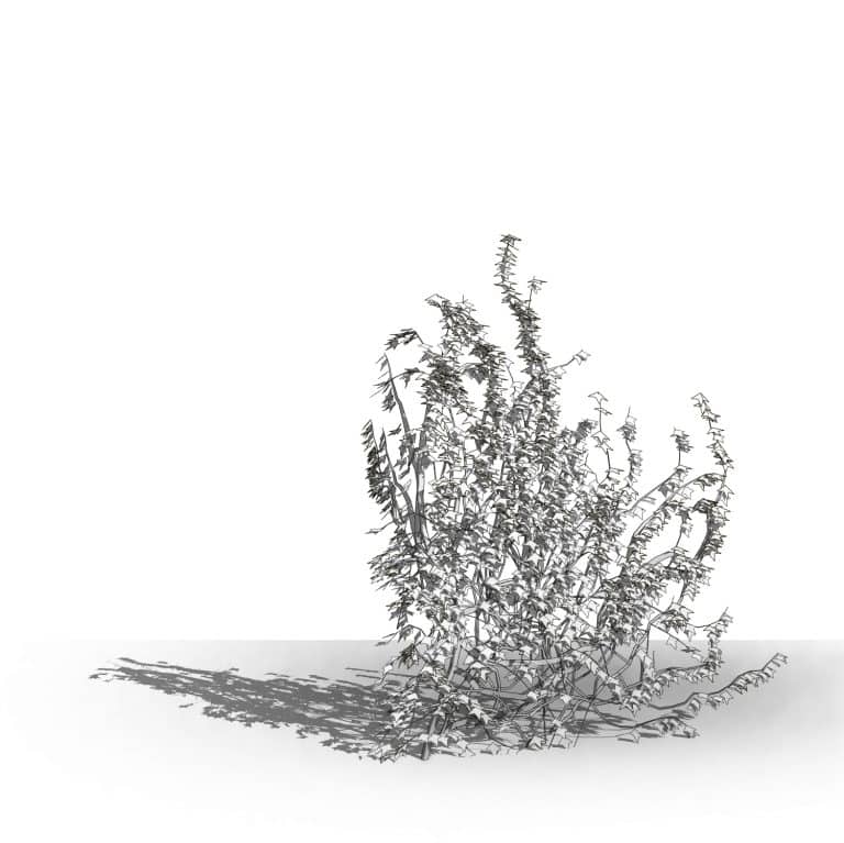 arquivypack01_6 scalable ivy plants - arquitree Revit families