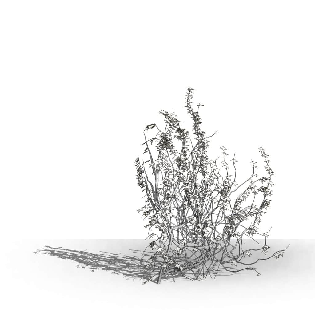 arquivypack01_6 scalable ivy plants - arquitree Revit families
