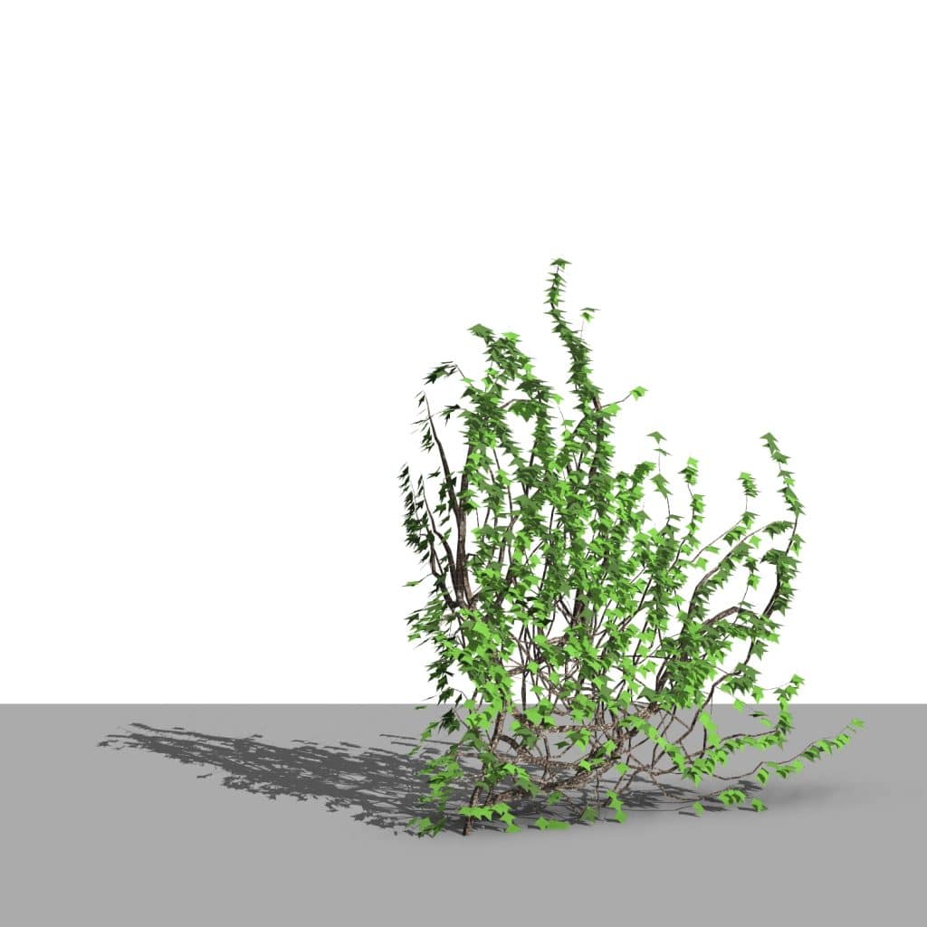 arquivypack01_6 scalable ivy plants - arquitree Revit families