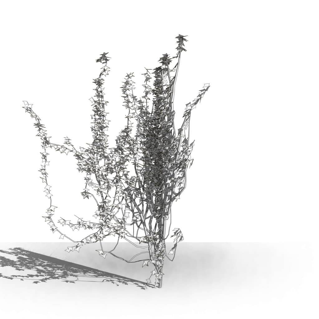 arquivypack01_6 scalable ivy plants - arquitree Revit families