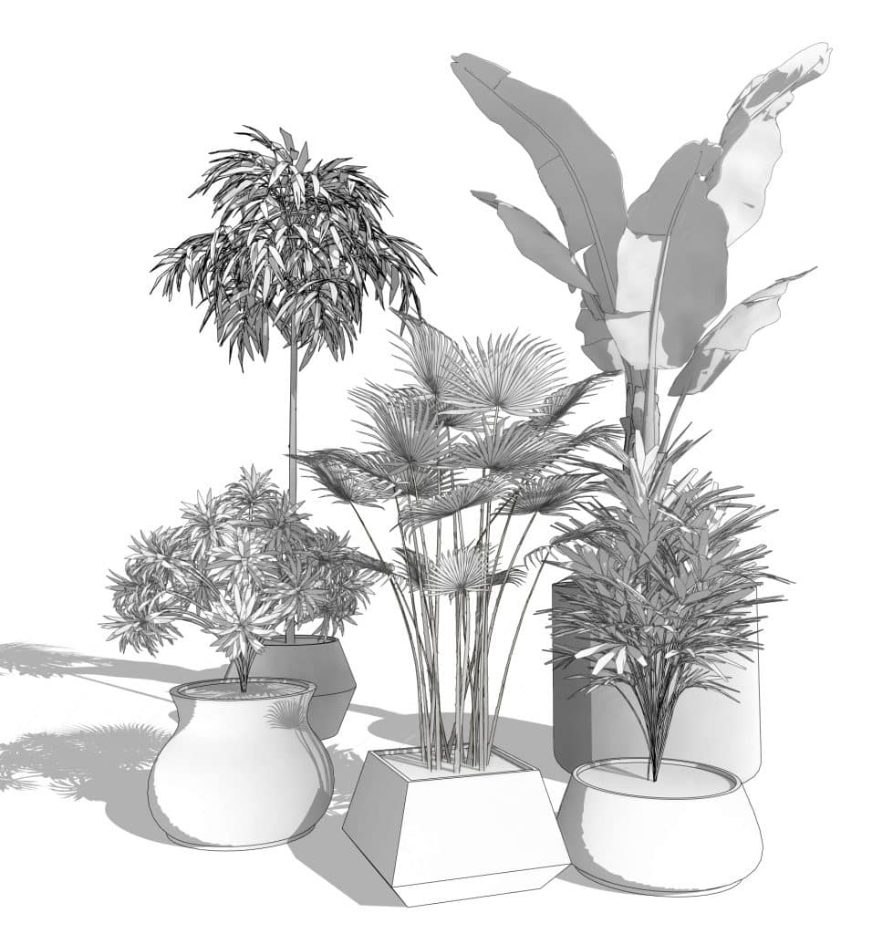 arquiplantpack02_5 Scalable plants - arquitree Revit families