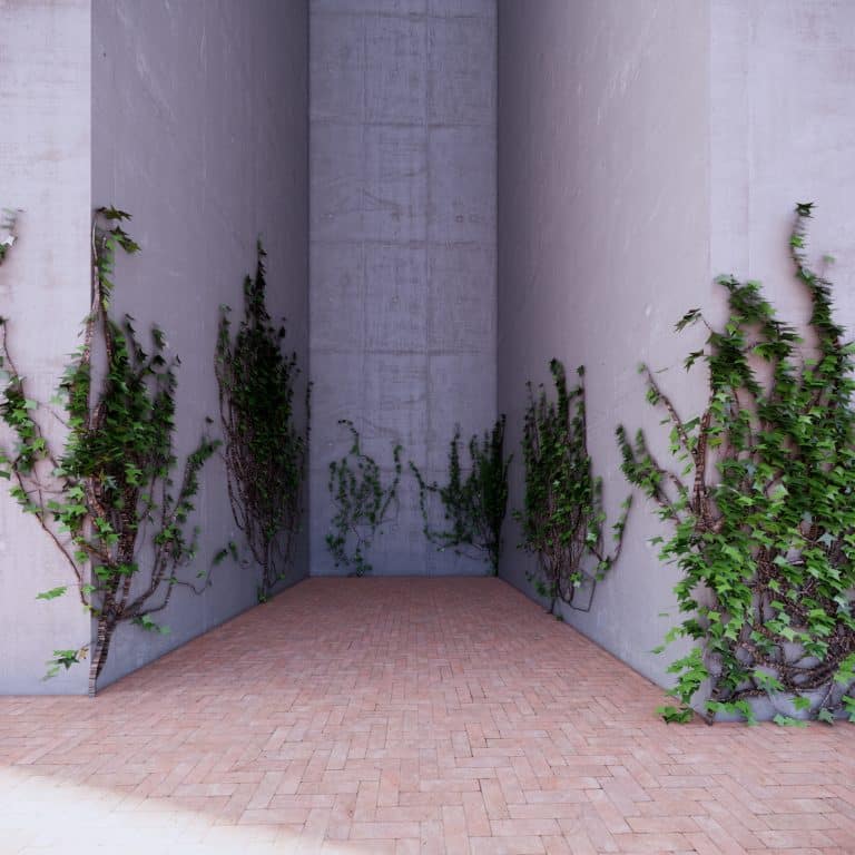 arquivypack01_6 scalable ivy plants - arquitree Revit families