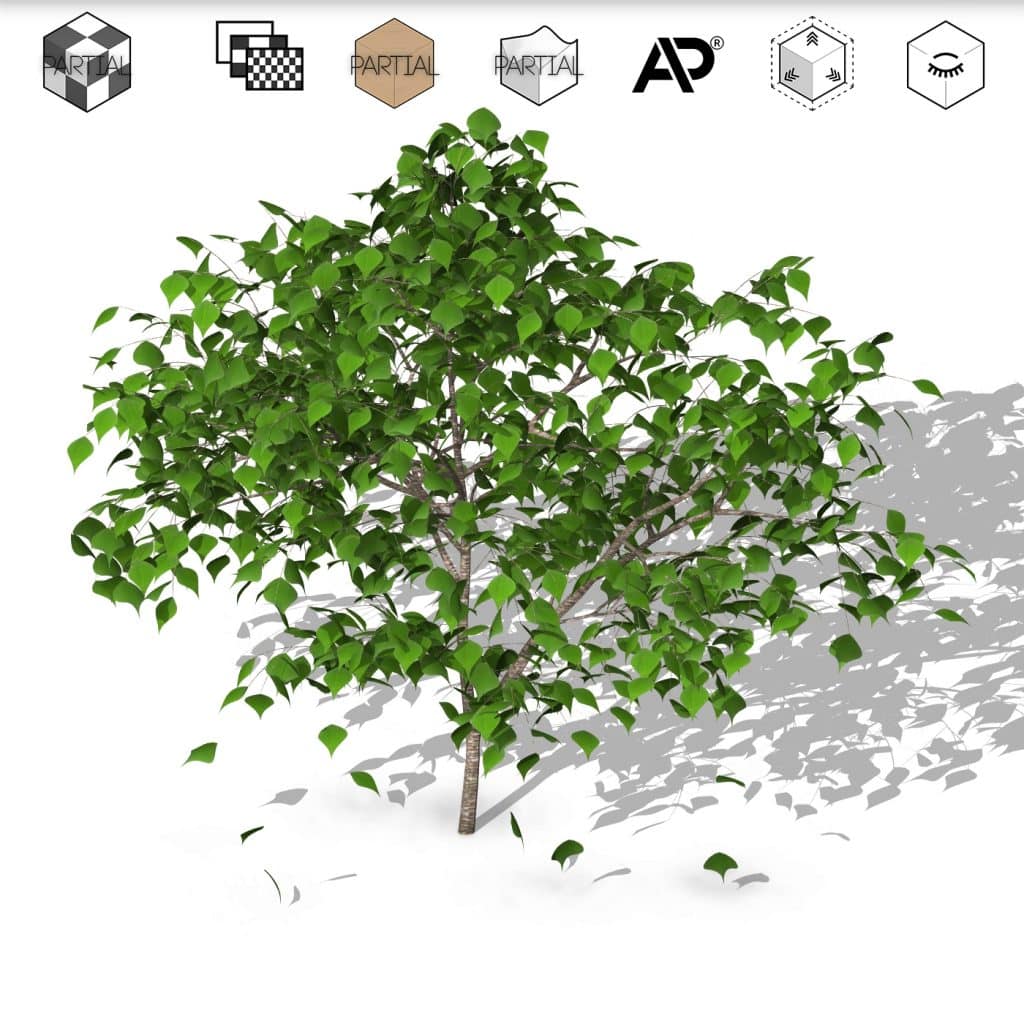 Revit trees, vegetation, cars, entourages, furniture with automatic ...
