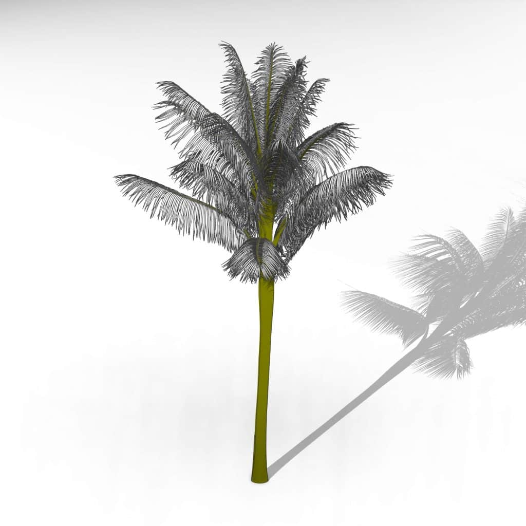 arquitree31_SCALABLE palm_HYBRID - arquitree Revit families