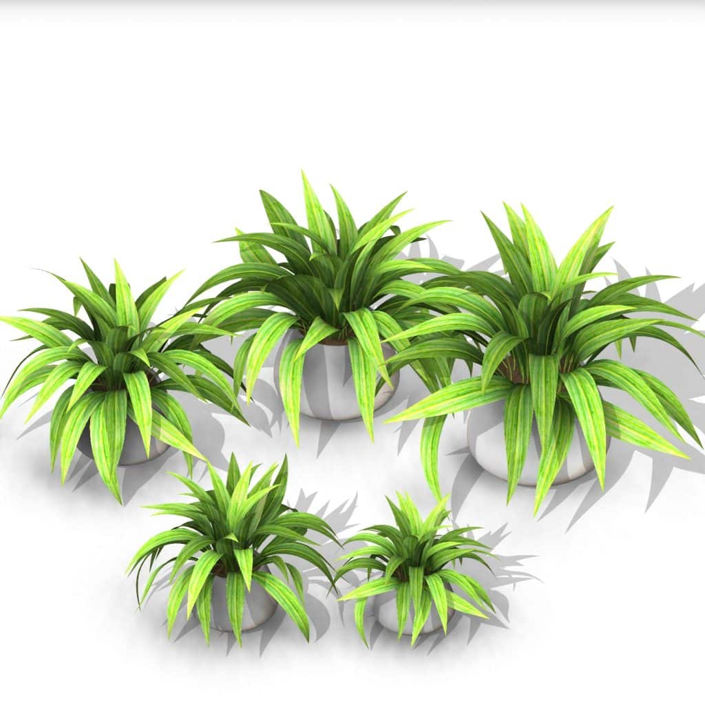 arquiplant65_scalable_REALISTIC - arquitree Revit families