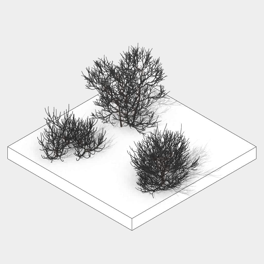 Revit Southern Wax Myrtle shrub families - scalable & customizable
